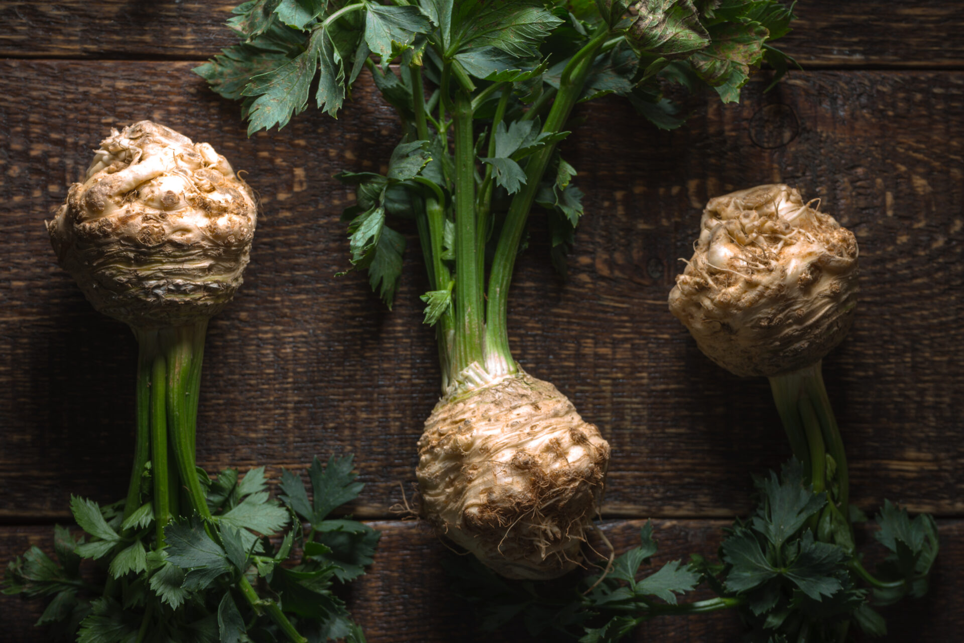 Celery: From Preparation to Cooking Techniques – chefnerds.com