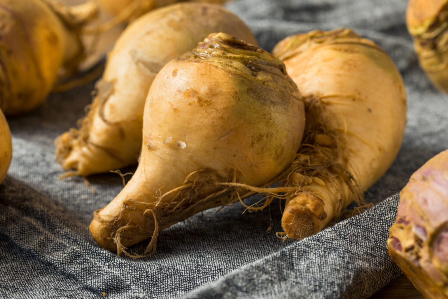 Swede: A Guide to Selection, Storage, and Preparation – chefnerds.com